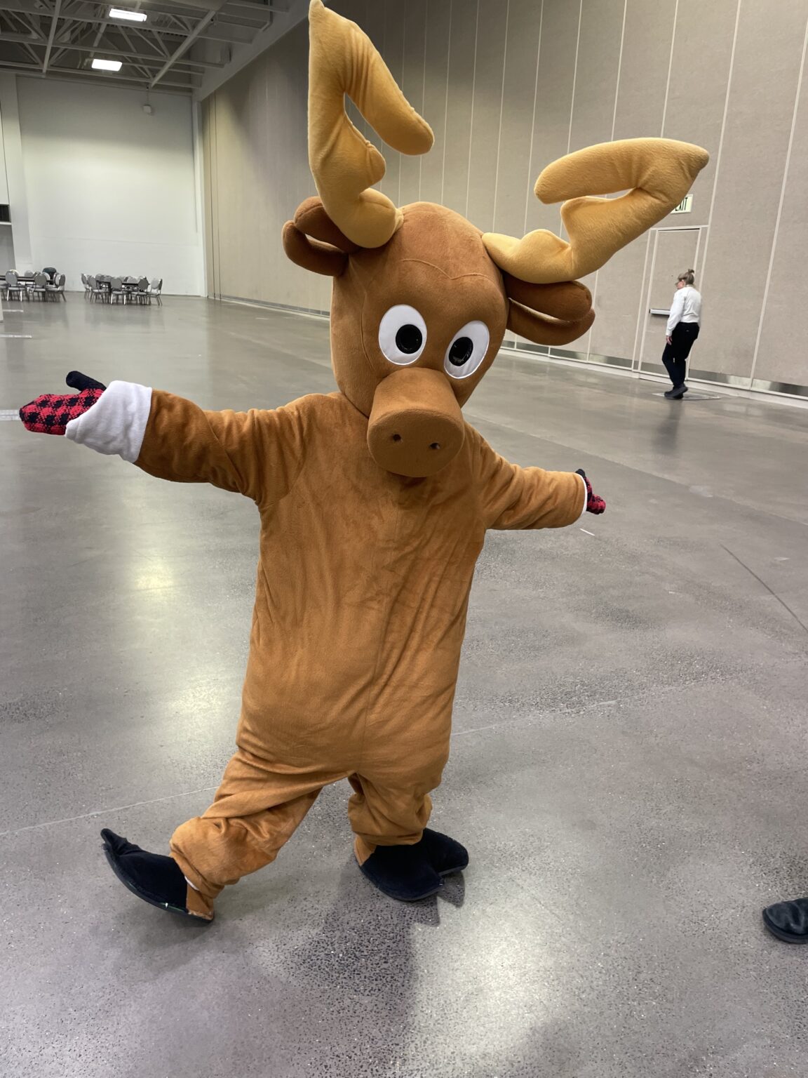 Twisted Moose Gymnastics Competition